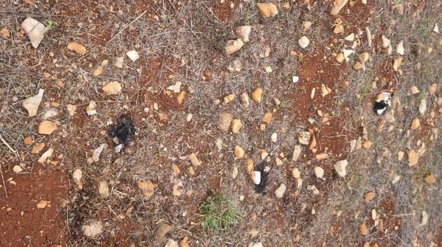 White Phosphorus in Lebanon: Fire, Smoke, and Erasure from 1982 to today